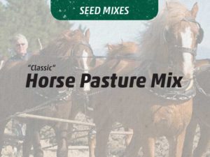Classic Horse Pasture Mix – Luisetti Seeds NZ
