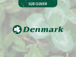 Denmark Sub Clover – Luisetti Seeds NZ