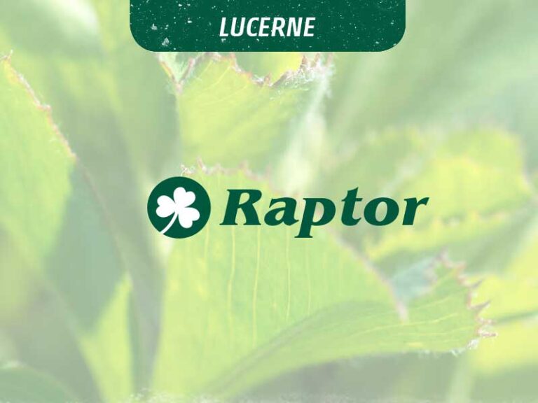 Raptor Lucerne – Luisetti Seeds NZ