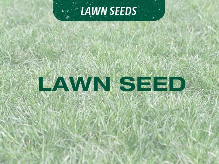 Lawn seeds – Luisetti Seeds NZ