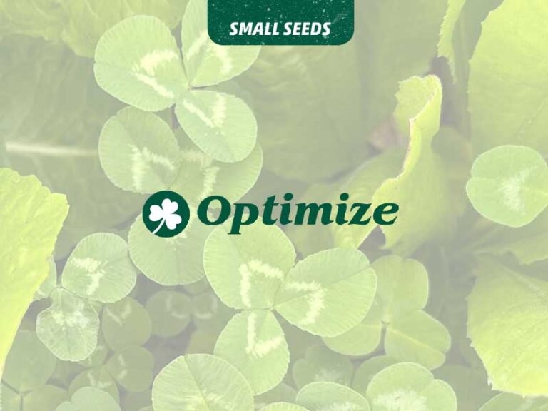 Optimize White Clover – Luisetti Seeds NZ